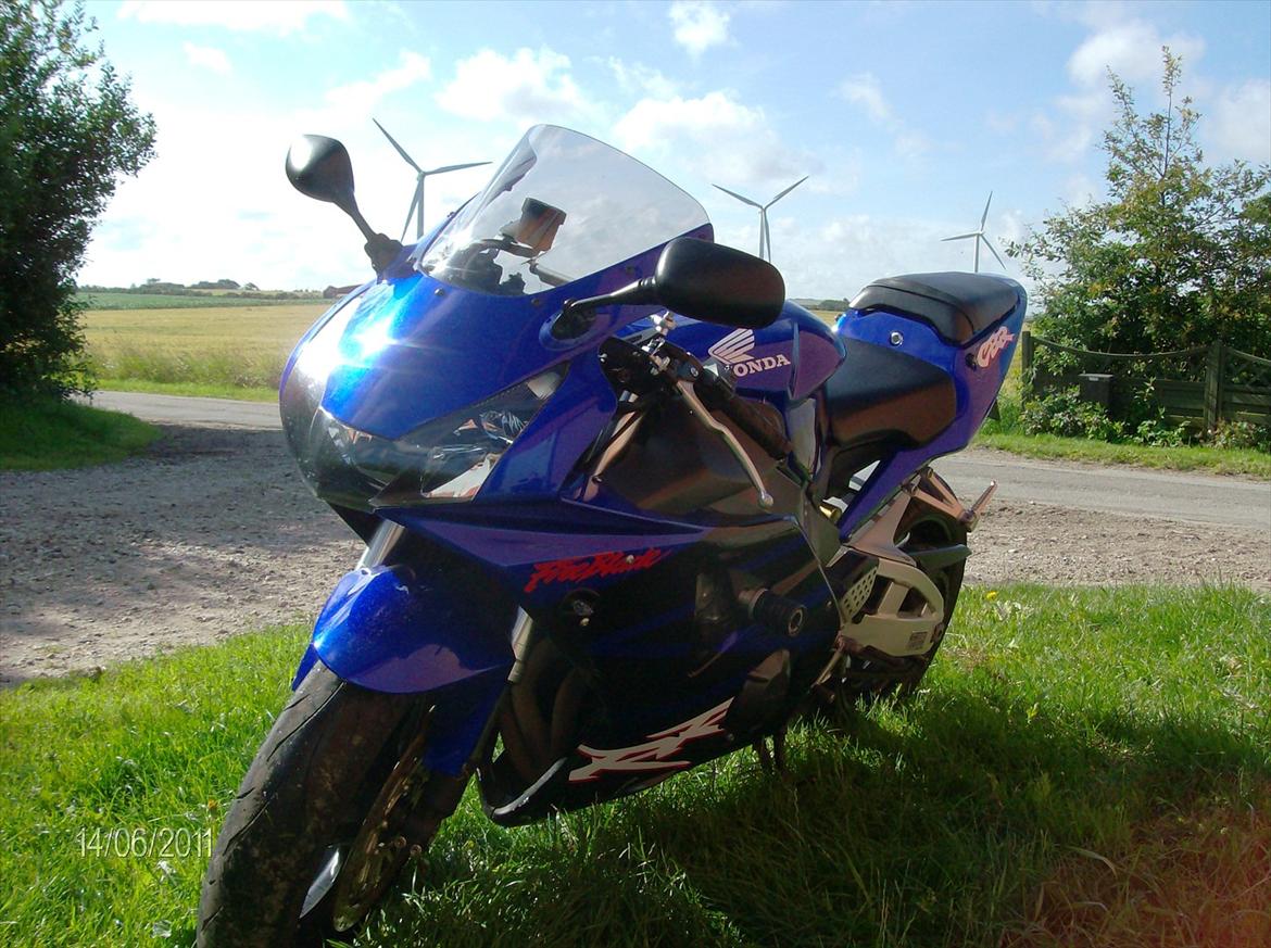 Honda cbr 954 fireblade - Billeder af mc-er - Uploaded af nielspeter c