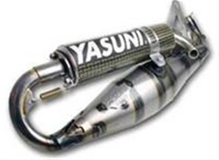 Valg af Yasuni Udstødning. - Guider - Fotos fra Morten Julius Bak