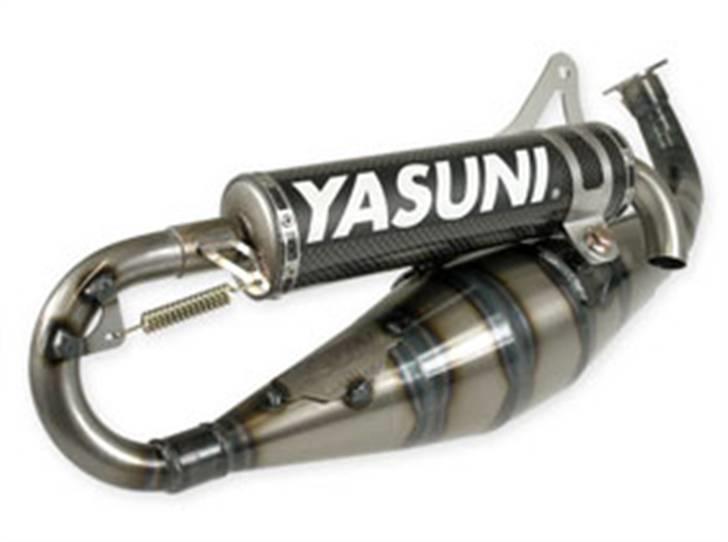 Valg af Yasuni Udstødning. - Guider - Fotos fra Morten Julius Bak