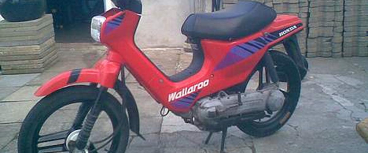Honda Wallaroo SOLGT - 1992 - Skide god knallert selvom den...
