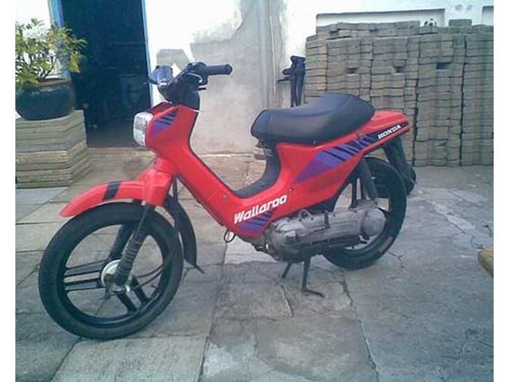 Honda Wallaroo SOLGT - 1992 - Skide god knallert selvom den...