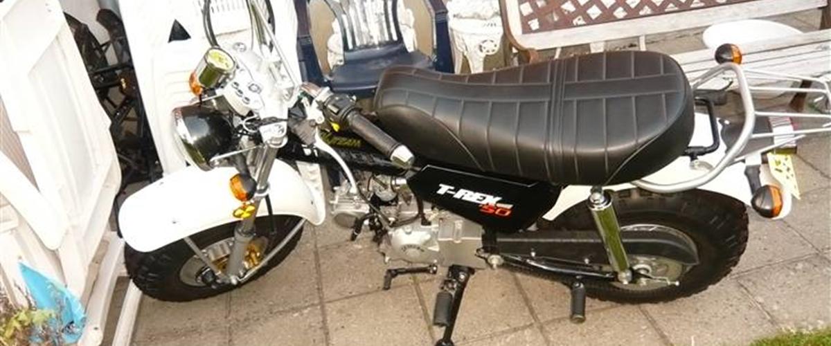 Skyteam T-Rex 50 - 2009 - Den er skide lækker og kører ...