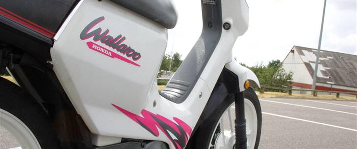 Honda wallaroo - 1995 - vi købte den af en gammel fal...