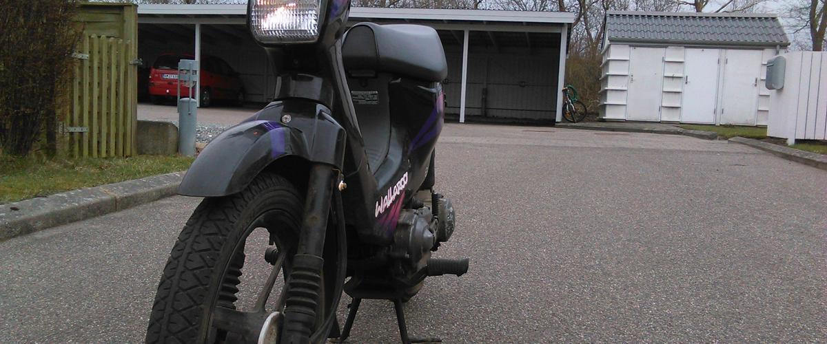 Honda Wallaroo - 1994