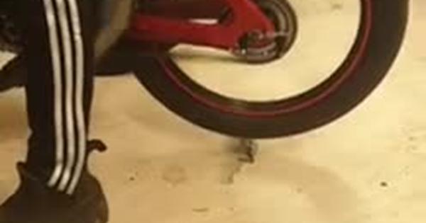 Puch maxi 74cc brænder dæk af - Tuningprojekter - Video - Uploadet af ...