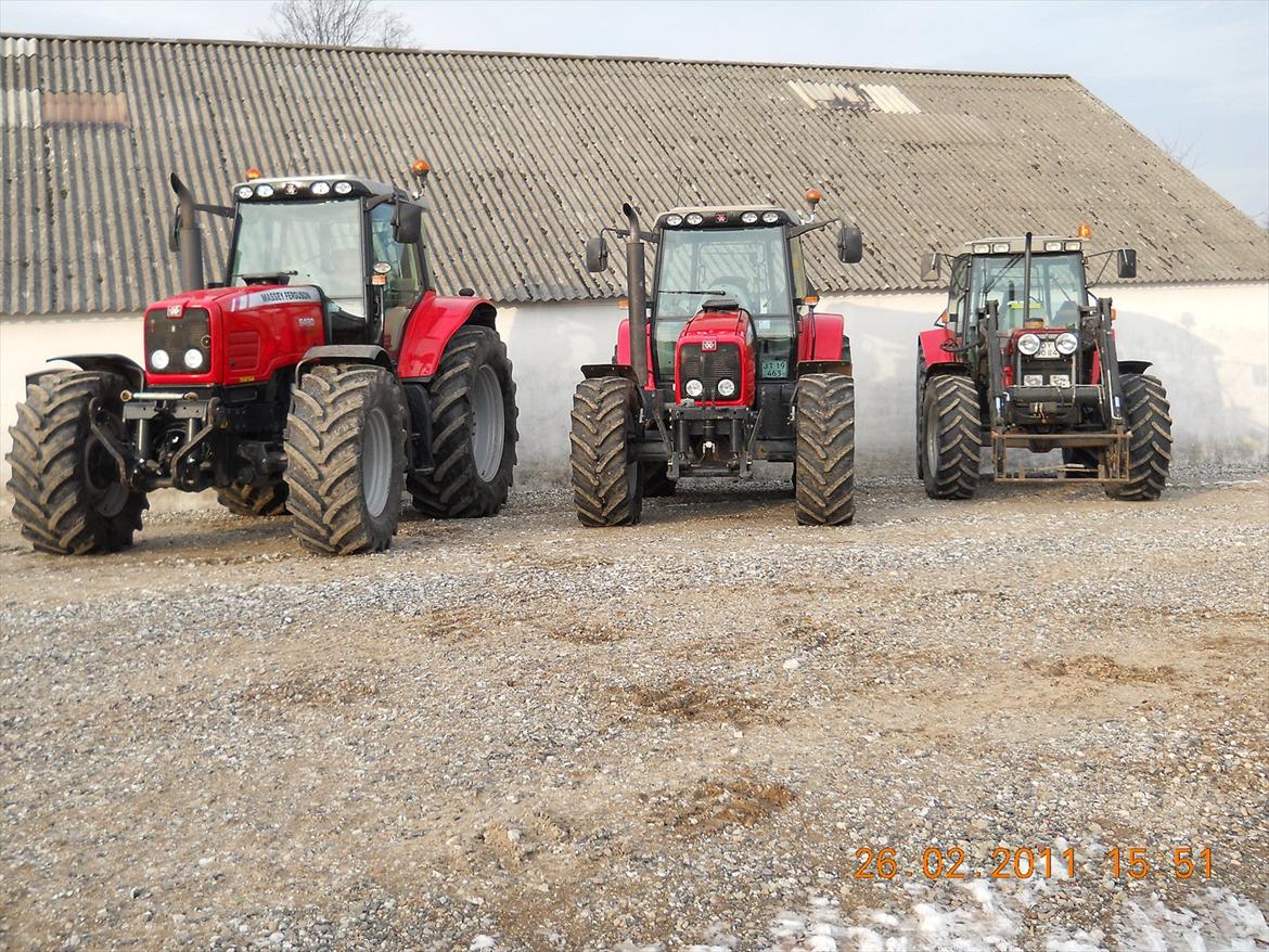 MF power - Diverse traktor - Fotos fra Nicholai A