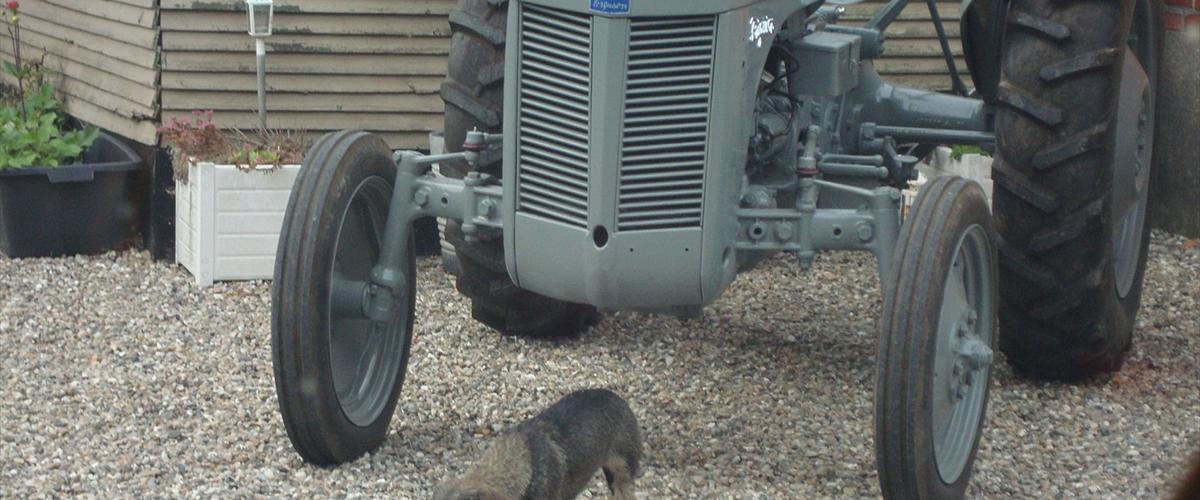 Ferguson TEA 20 (31) - 1953 - Jeg har fået den, af ham der ...