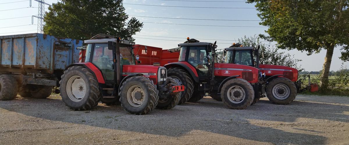 Massey Ferguson 8250 - 2003 - super dejlig traktor med mass...