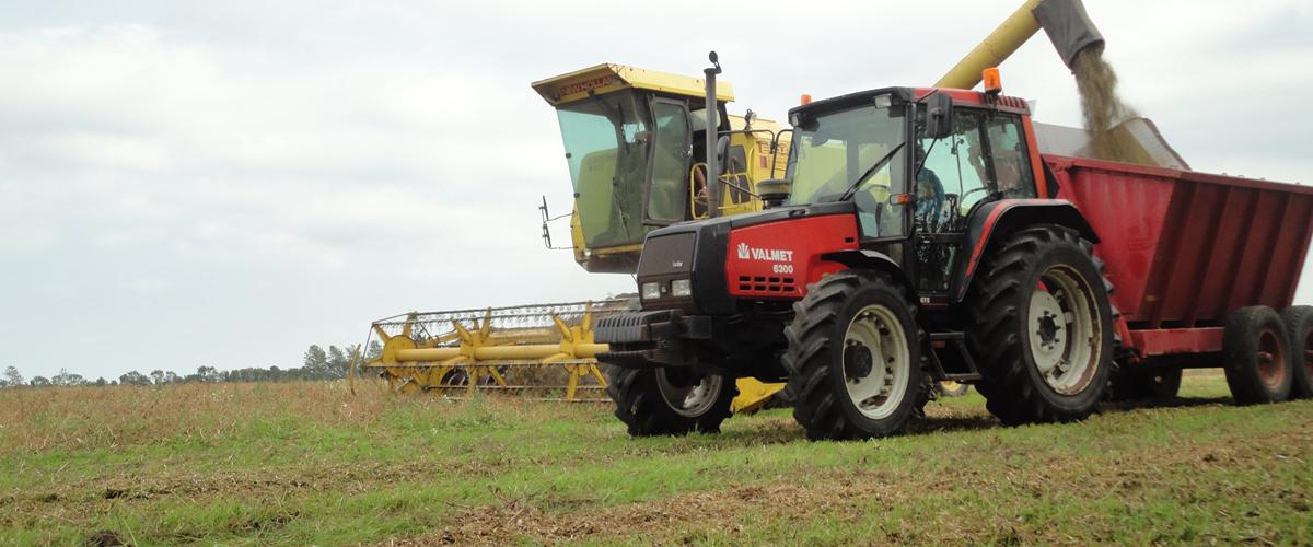 Valmet 6300 - 1991 - Det er en fin lille traktor,