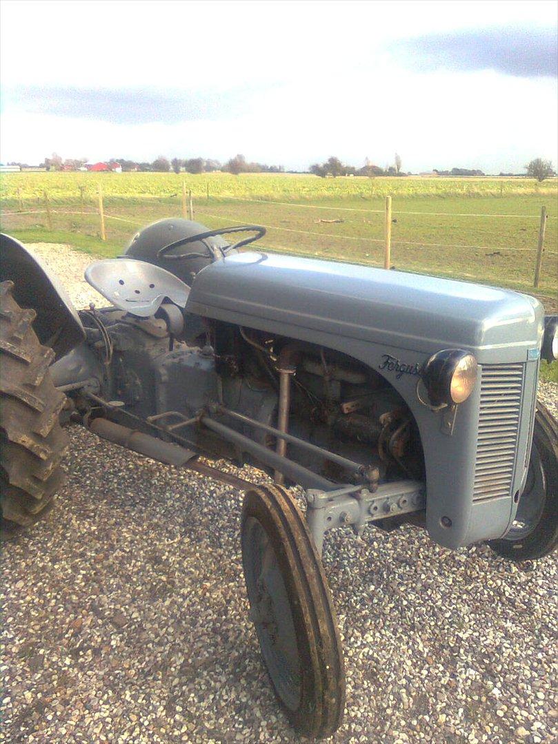 Massey Ferguson tea20 - Billeder af traktorer - Uploaded af marco c