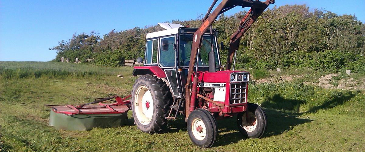 Case IH 484 - 1982 - Lille snild traktor som blir ...