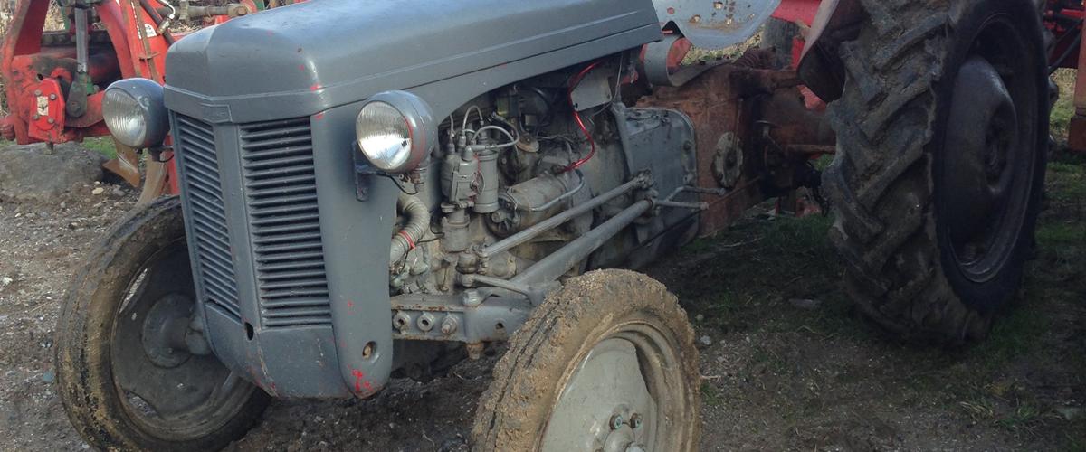 Ferguson TEA-20 - 1948 - Har lige købt denne Ferguson ...