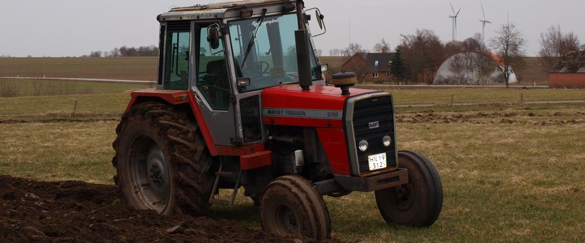 Massey Ferguson 699 - 1985 - Det er en super fin traktor